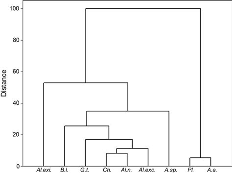 classification of cladoceran taxa unweighted pair group average