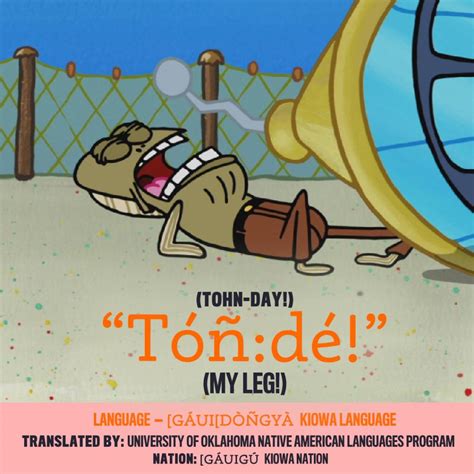 Native Spongebob Your Local Pineapple Spongebob Squarepants Amino