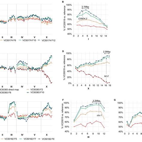 Successful Mapping Of Temperature Sensitive Lethal Mutant Strains Via