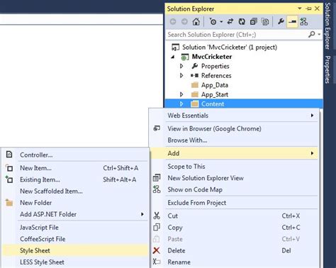 Working With External Providers In MVC 5