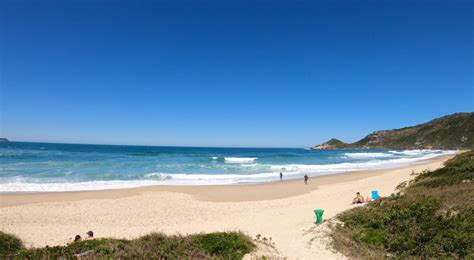 Surfing Florianopolis Complete Guide To Brazils Best Surf Zone