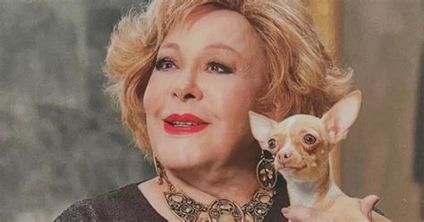 Silvia Pinal Habría Heredado Parte De Su Fortuna A Su Perrita Chihuahua