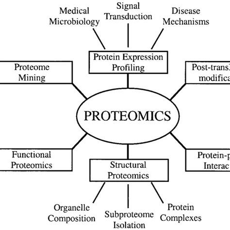 Types Of Proteomics And Their Applications To Biology Download