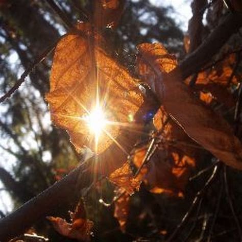 Marie Mathilde Youtube