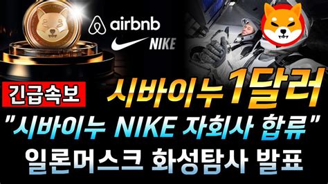 시바이누 코인 시바이누코인 Nike Airbnb와의 결제 시스템 협업과 애플 합류그리고 일론머스크와의 급등신호 비트코인 시바이누코인 도지코인 이더리움