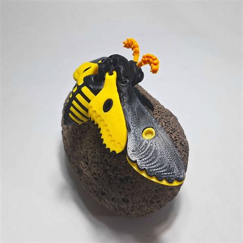 3d Printable Dead Head Moth V2 Stl Files By Hansana