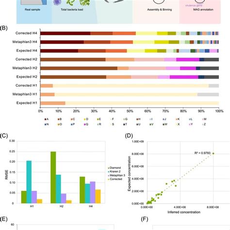 Absolute Quantification Of Individual Bacterial Species In Three Mock