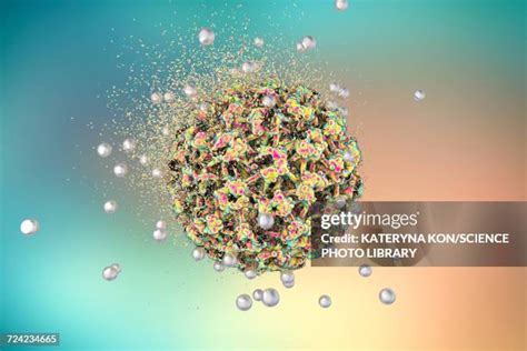 Pathogen Destruction Photos And Premium High Res Pictures Getty Images