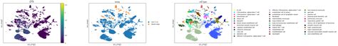 Exploring Biologically Relevant Clusters In Census Embeddings