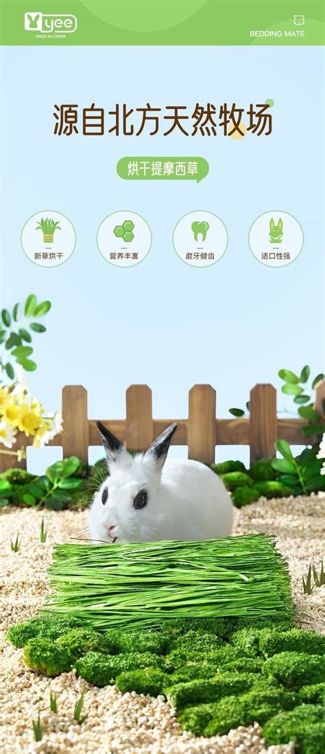 提摩西草烘干苜蓿草荷兰猪豚鼠龙猫饲料幼兔子粮食牧草北提干草段 阿里巴巴
