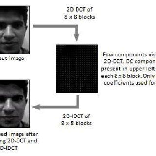 2d Dct Computation Of Face Image Download Scientific Diagram