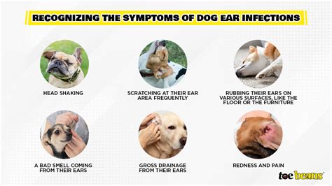 How To Tell When Your Dog Has An Ear Infection And What To Do Toe Beans
