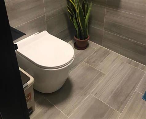 What Is Ceramic Wall Mounted Toilet China Smart Toilets Intelligent