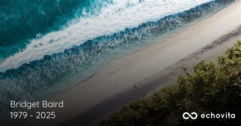 Bridget Wilcox Baird Obituary 1979 2025 Milford Ia