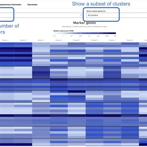 Screenshot Of A Heatmap Showing The Average Expression Of Marker Download Scientific Diagram