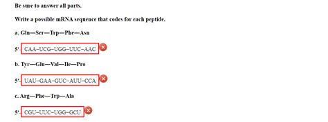 Solved Be Sure To Answer All Parts Write A Possible Mrna