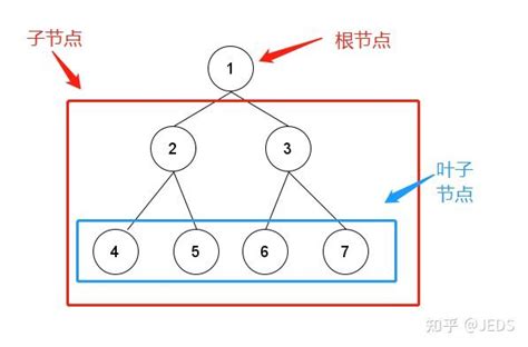 树tree 数据结构 知乎