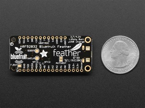 adafruit feather nrf52 pro with mynewt bootloader nrf52832 melopero