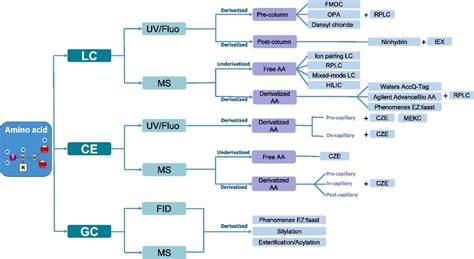 Our Amino Acid Analysis Service Creative Proteomics