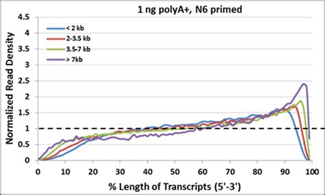 Episcript™ Reverse Transcriptase【lgc Biosearch Technologies（lucigen）】｜arb Ls エア・ブラウン ライフサイエンス