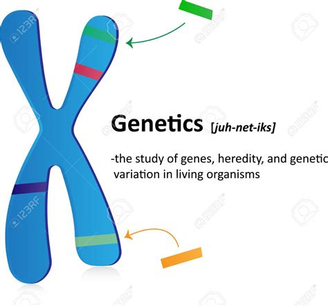 Heredity Biology