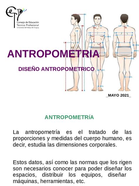 Medidas Y Diseño Antropométrico Pdf