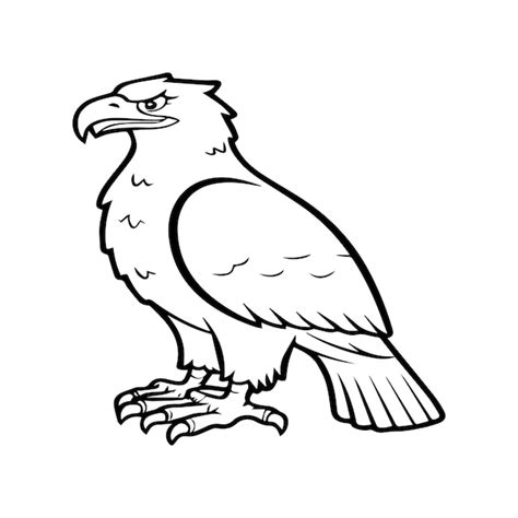 Premium Vector Eagle Coloring Pages Eagle Bird Outline Vector For