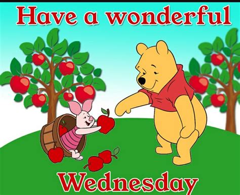 Pin By Christine Mast Kivett On Hump Day Wednesdays Happy Wednesday