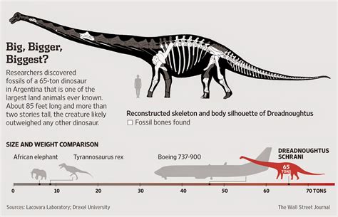 Species New To Science [paleontology • 2014] Dreadnoughtus Schrani • A