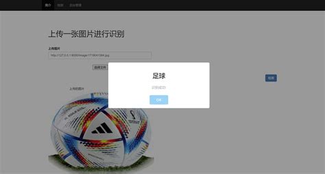 【球类识别】python卷积神经网络算法人工智能项目深度学习项目计算机毕设项目tensorflow算法模型训练球球类数据集 Csdn博客