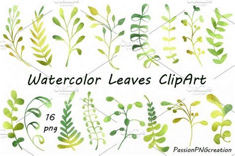 Watercolor Leaves Clipart Set