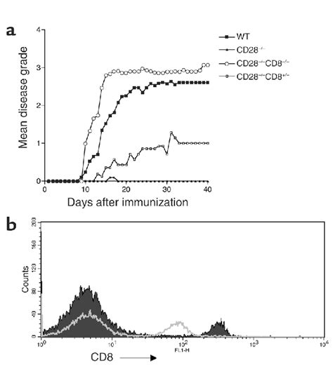 Induction Of Eae In Cd28 Cd8 And Cd28 Cd8 Mice A