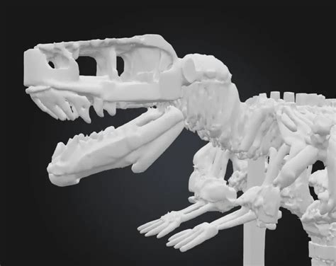 Dinosaur Skeleton Free 3d Print Model Makerworld
