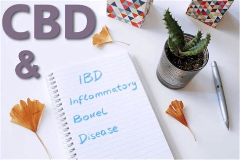 Cbd And The Pathways Of Ibd Or Ibs