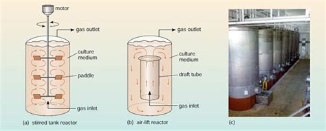 Microbes Friend Or Foe Figure 6 Fermentation Reactors Schematic