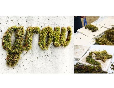 Celebrate The Last Day Of Classes With Diy Moss Art Moss Graffiti
