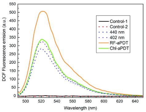 Detection Of Reactive Oxygen Species Ros Activity In A Baumannii