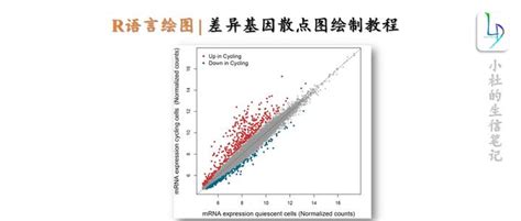 差异基因散点图绘制教程 知乎