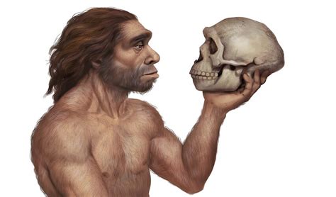 The Skull The Definitive Guide