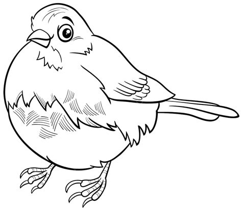 Gambar Burung Junco Png Vektor Psd Dan Clipart Dengan Background