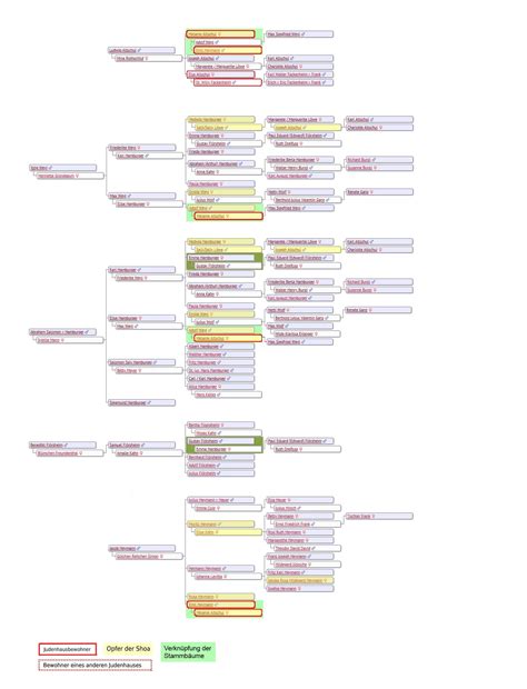 Melanie Heymann Geborene Altschul Verwitwete Weyl Judenhäuser In Wiesbaden 1939 1942