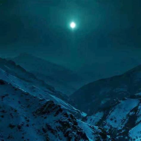 启善 后台管理系统