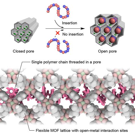 Decoding Polymer Chains Via Gated Inclusion Into Flexible Nanoporous