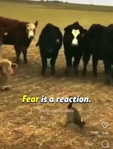 Hafsa Ashraf Posted On Linkedin