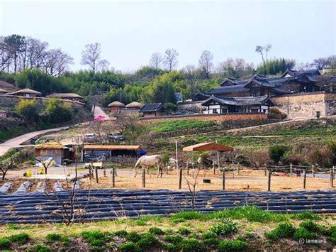 경주 당일치기 여행 유네스코 세계문화유산 양동마을 입장료 네이버 블로그