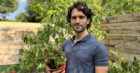 Ignacio Guío Experto En Plantas Si Quieres Un Helecho Verde Y Frondoso Usa Una Maceta De