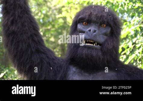 Exhibition Of Moving Models Animals From Prehistoric Period In Dinopark