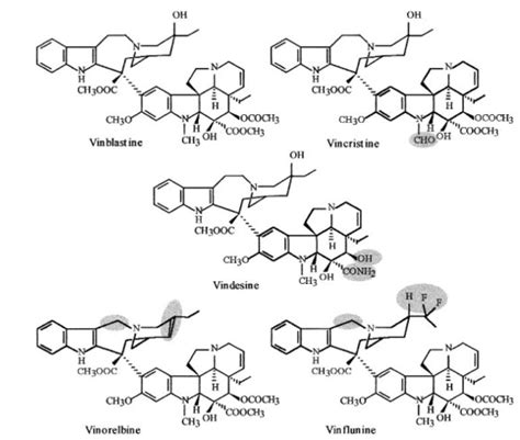 Active Constituents Of Vinca Plant Download Scientific Diagram