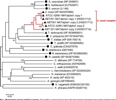 Table 1 From Chimeric Sex Determining Chromosomal Regions And
