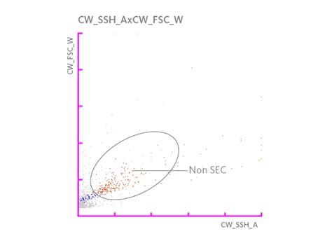 Epithelial Cells In Urine